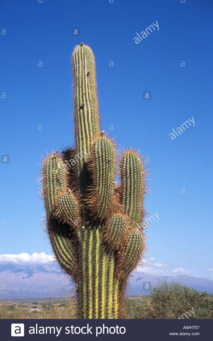 Robert Reiss Travel Blog and Other Ramblings